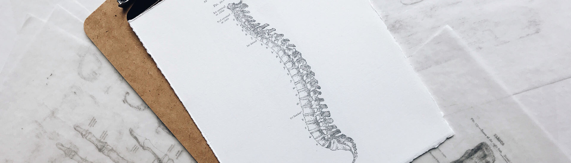 Protein-Leitlinie: Alles für die Knochen! - DocCheck