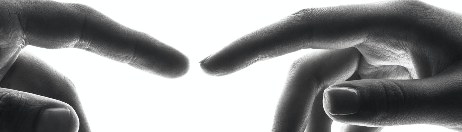 Lebenswichtiges Feingefühl: Der Tastsinn der Zelle - DocCheck