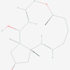 Lacton - DocCheck Flexikon