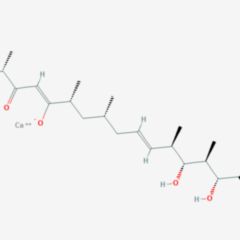 Ion - DocCheck Flexikon