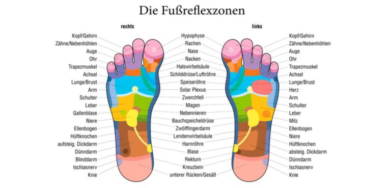 Foot reflex zones - DocCheck