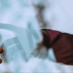 Meyer-Weigert-Regel - DocCheck Flexikon