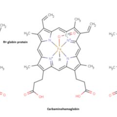 Carboxyhämoglobin - DocCheck Flexikon
